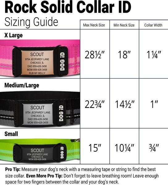 Out of Stock - DOG ID The Rock Solid Personalized ID Tag Dog Collar ...