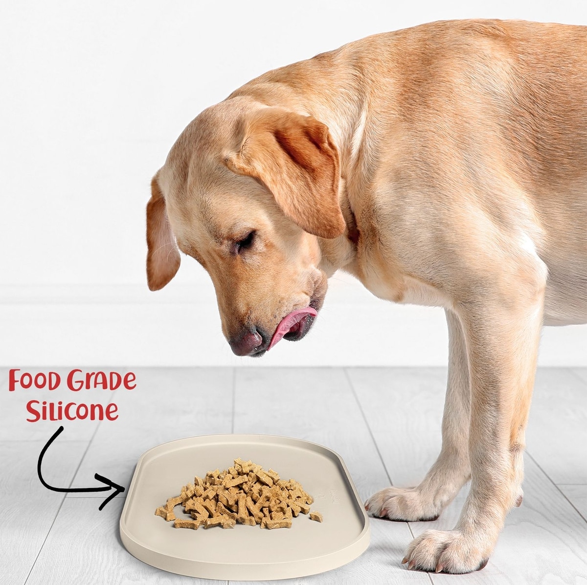 DOGBUDDY Oval Dog & Cat Placemat, White Sand, Small - Chewy.com
