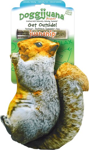 Squirrel Dog Toy (Free Shipping) | Chewy