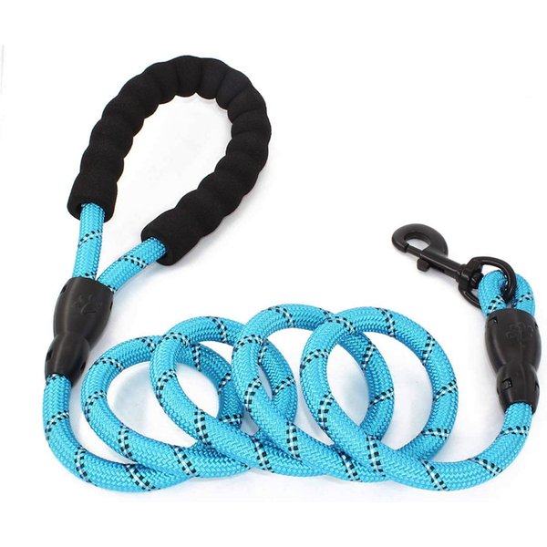 FRISCO Rope Dog Leash with Padded Handle, Blue, 5-ft long - Chewy.com