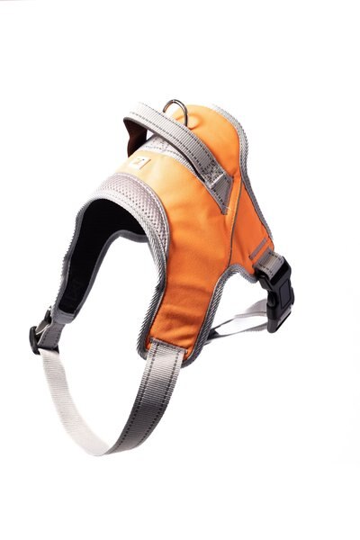 DOGGY TALES Patented Classic Hart Dog Harness, Orange, 55 - Chewy.com