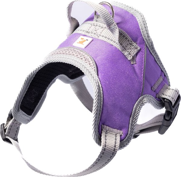 DOGGY TALES Patented Classic Hart Dog Harness, Purple, 35 - Chewy.com