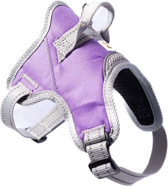 DOGGY TALES Patented Classic Hart Dog Harness, Purple, 35 - Chewy.com