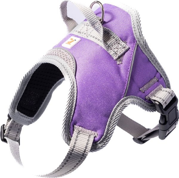 DOGGY TALES Patented Classic Hart Dog Harness, Purple, 35 - Chewy.com