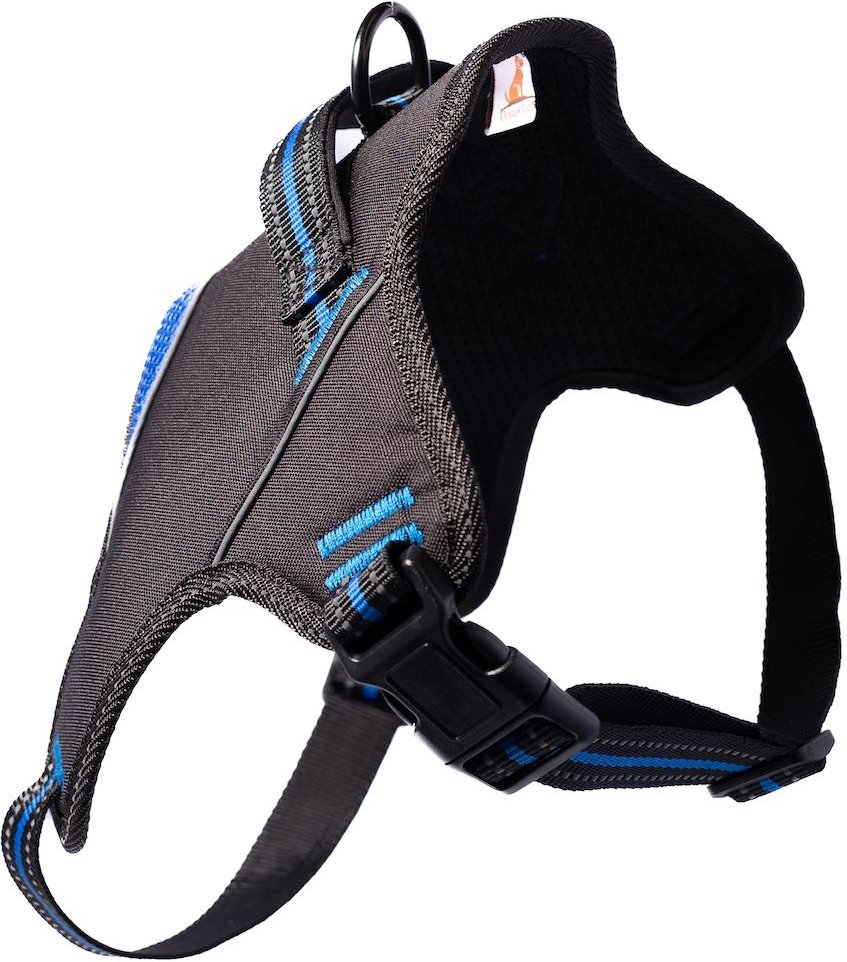 DOGGY TALES Patented Hart Dog Harness, Navy, 35 - Chewy.com