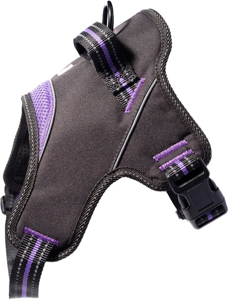 DOGGY TALES Patented Hart Dog Harness, Purple, 55 - Chewy.com