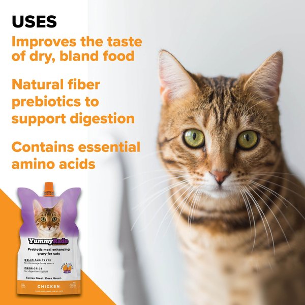KITTYRADE YummyRade Meal Enhancer Cat Food Topping, 8.4-fl oz pouch ...