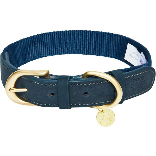 WEAVER PET Sundance Leather Dog Collar, 19 - 22 in, 1-in - Chewy.com