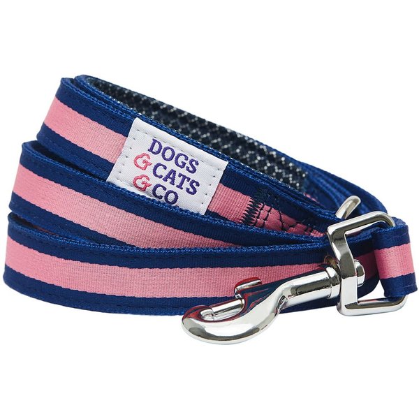 PINK PAPYRUS Spring Floral Polyester Dog Leash, 6-ft long 1-in wide ...