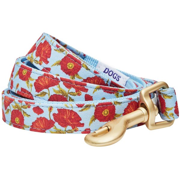 PINK PAPYRUS Spring Floral Polyester Dog Leash, 6-ft long 1-in wide ...