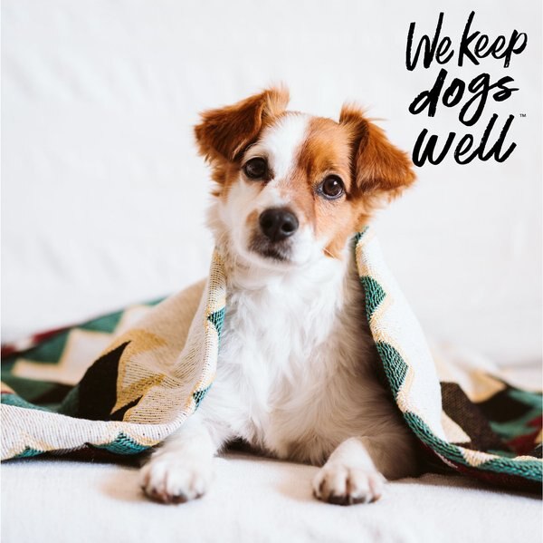 Discontinued - DOGSWELL Remedy+Recovery Liquid Bandage for Dogs, 4-fl ...