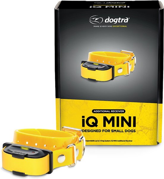 Out of Stock - DOGTRA iQ MINI Add On Collar Remote Training Dog e ...