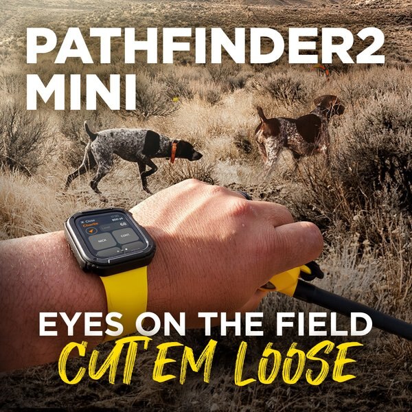 DOGTRA Pathfinder 2 Mini GPS Dog Tracking Remote Training Collar System ...