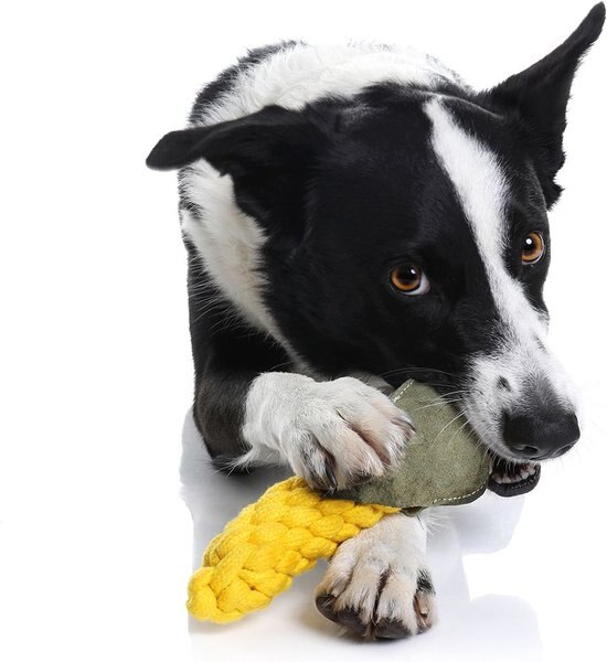 Out of Stock - DOOG Country Tails Corn Dog Chew Toy, Yellow - Chewy.com