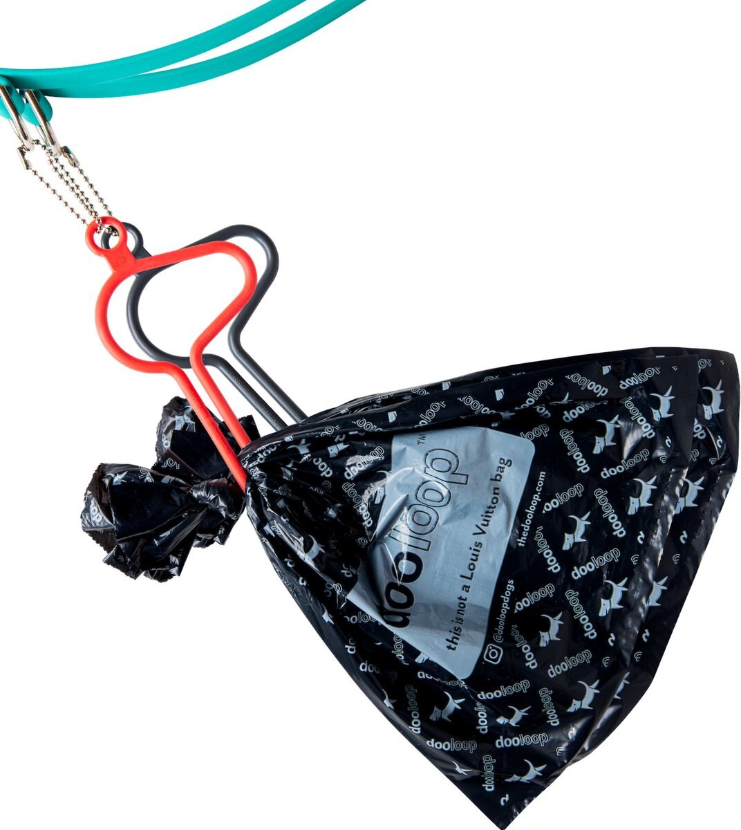 DOOLOOP Dog Waste Bag Holder, Lobbying for a Walk, 2 count - Chewy.com