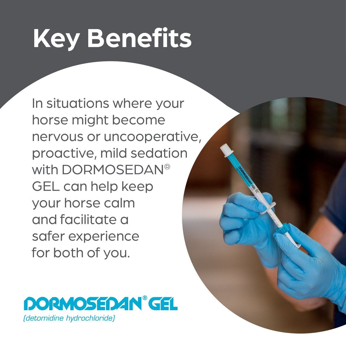 DORMOSEDAN Gel for Horses, 7.6 mg/mL, 3-mL oral syringe - Easy Refills ...
