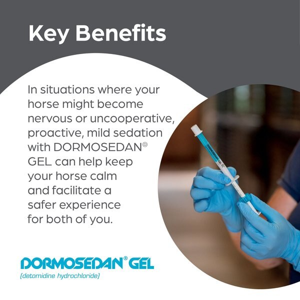 DORMOSEDAN Gel for Horses, 7.6 mg/mL, 3-mL oral syringe - Easy Refills ...