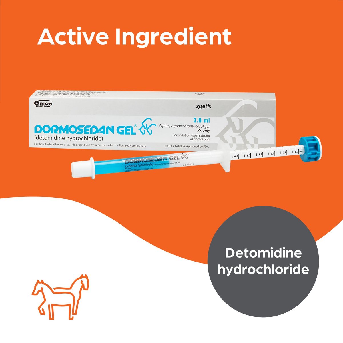 DORMOSEDAN Gel for Horses, 7.6 mg/mL, 3-mL oral syringe - Easy Refills ...