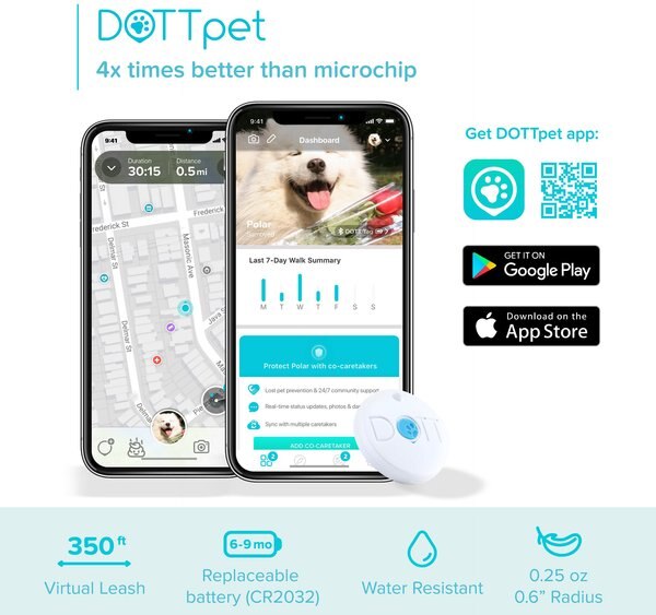Discontinued - DOTT Smart Dog & Cat Tag Tracker, Golden - Chewy.com