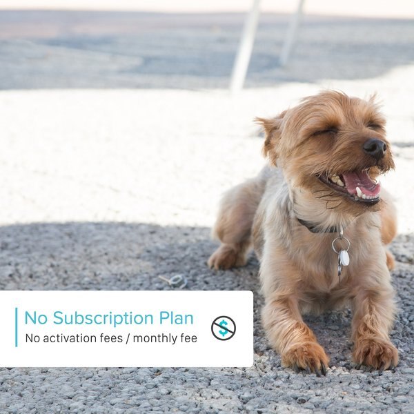 Discontinued - DOTT Smart Dog & Cat Tag Tracker, Golden - Chewy.com