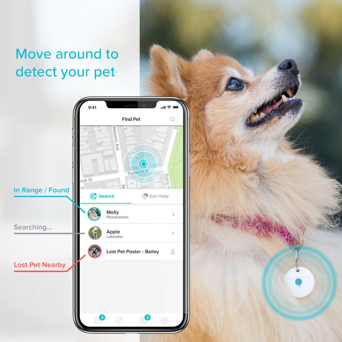 Discontinued - DOTT Smart Dog & Cat Tag Tracker, Golden - Chewy.com