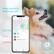 Discontinued - DOTT Smart Dog & Cat Tag Tracker, Golden - Chewy.com