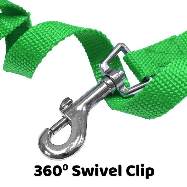 DOWNTOWN PET SUPPLY Training Dog Lead, Green, 50-ft - Chewy.com