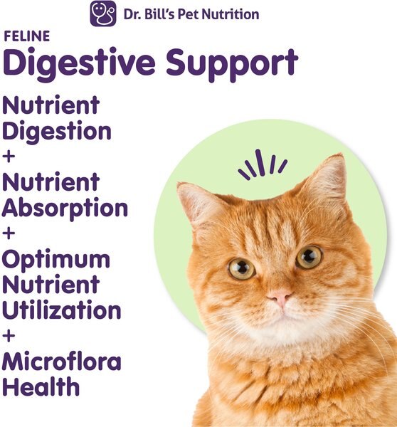 DR. BILL'S PET NUTRITION Feline Digestive Support Cat Supplement Powder ...