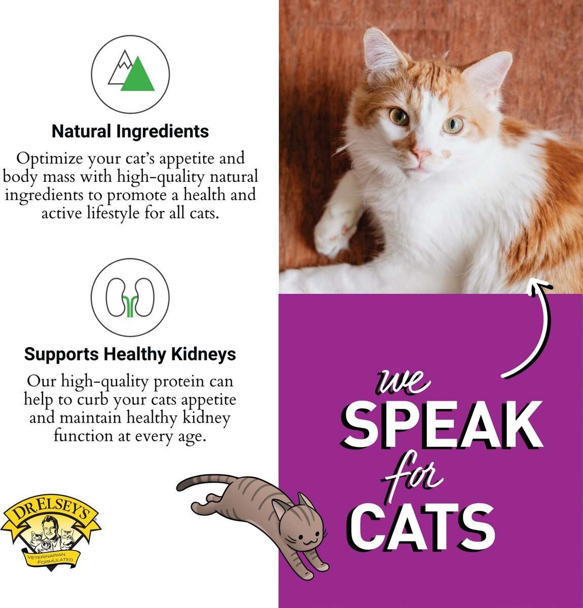 Discontinued - DR. ELSEY'S cleanprotein Rabbit Kibble Cat Dry Food, 2 ...