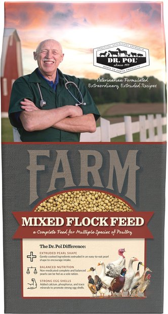 High-Protein Chicken Feed | Chewy