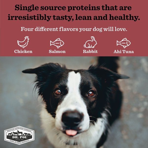 DR. POL Chicken Munchies Grain-Free Freeze-Dried Raw Dog Treats, 3.5-oz ...