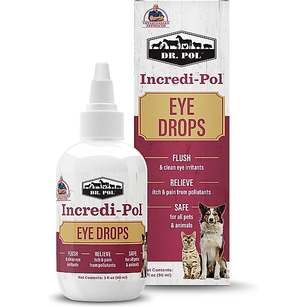 9 Best Eye Drops for Dogs 2025: According to Reviews | Chewy