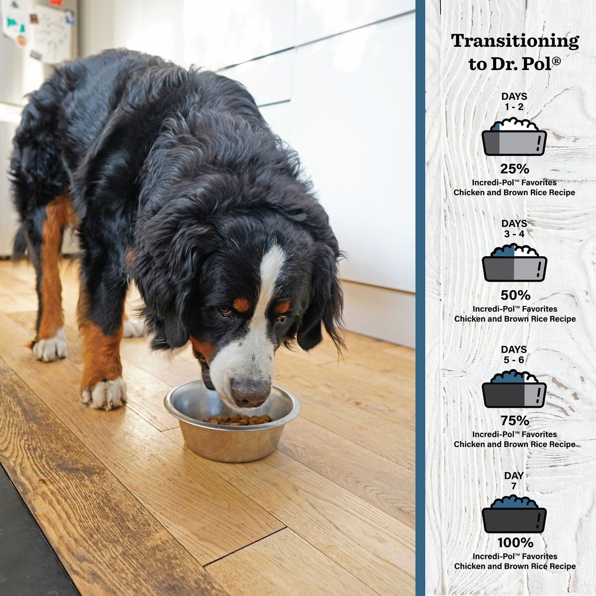 DR. POL Incredi-Pol Favorites Chicken & Brown Rice Dog Food, 6-lb bag ...