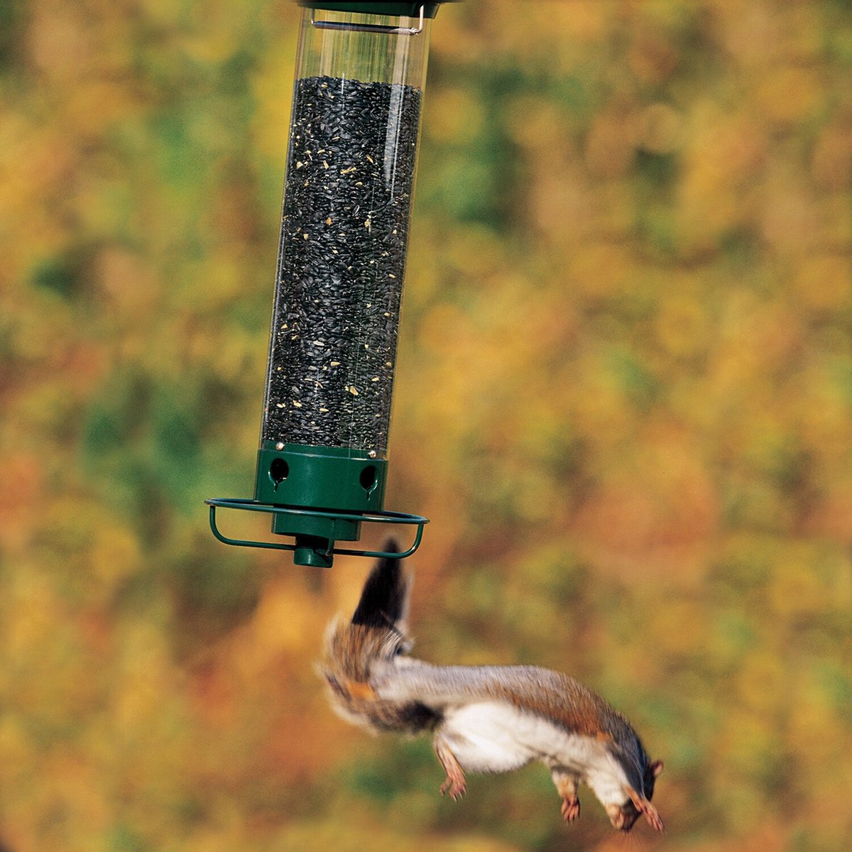 Droll Yankees Yankee Flipper Motorized Bird Feeder, 28.5-in | Chewy ...