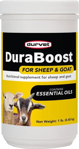 Goat Vitamins & Supplements | Chewy