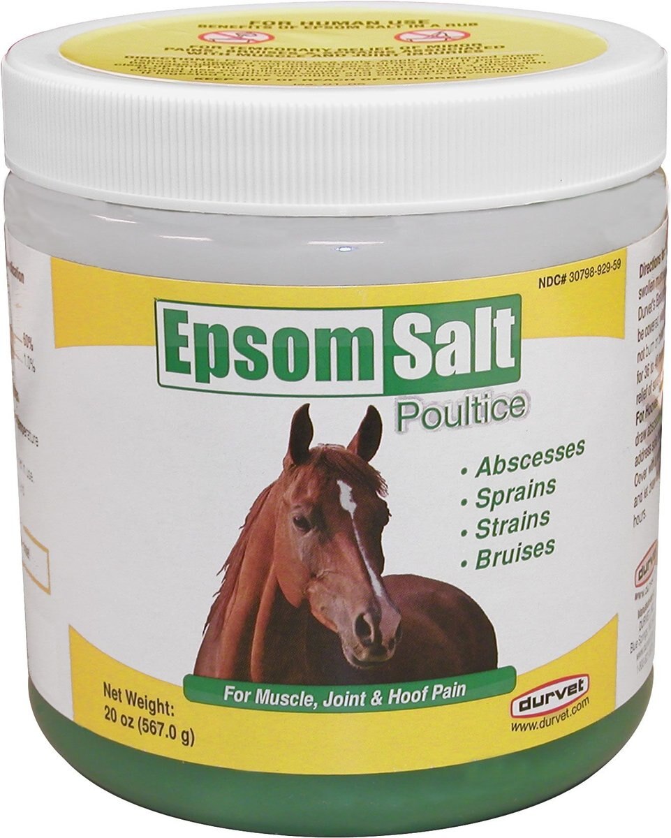 DURVET Epsom Salt Horse Muscle & Joint Pain Relief Poultice, 20-oz jar ...