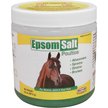 DURVET Epsom Salt Horse Muscle & Joint Pain Relief Poultice, 20-oz jar ...