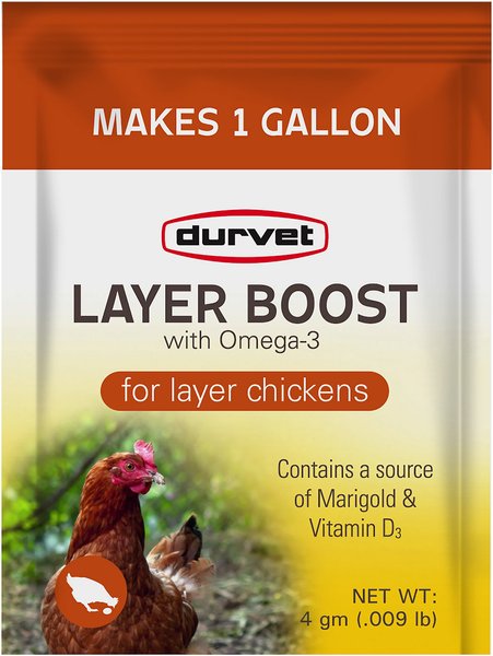 DURVET Layer Boost Omega-3 Poultry Supplement, 4-g, 40 count - Chewy.com