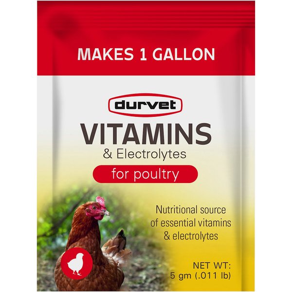 DURVET Layer Boost Omega-3 Poultry Supplement, 4-g, 40 count - Chewy.com
