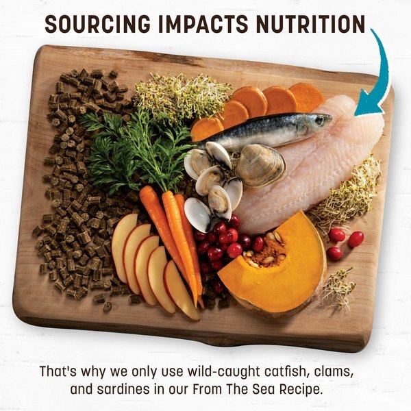 EARTH ANIMAL Wisdom Air-Dried From the Sea Recipe with Catfish, Clams ...