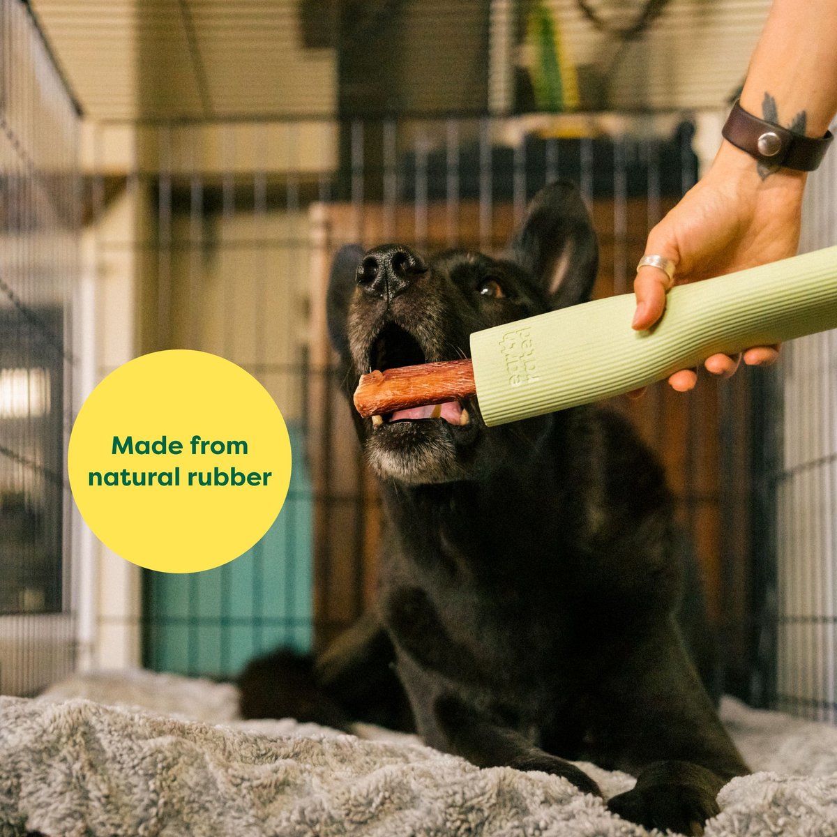 EARTH RATED Natural Rubber Dog Enrichment Toy, Large - Chewy.com