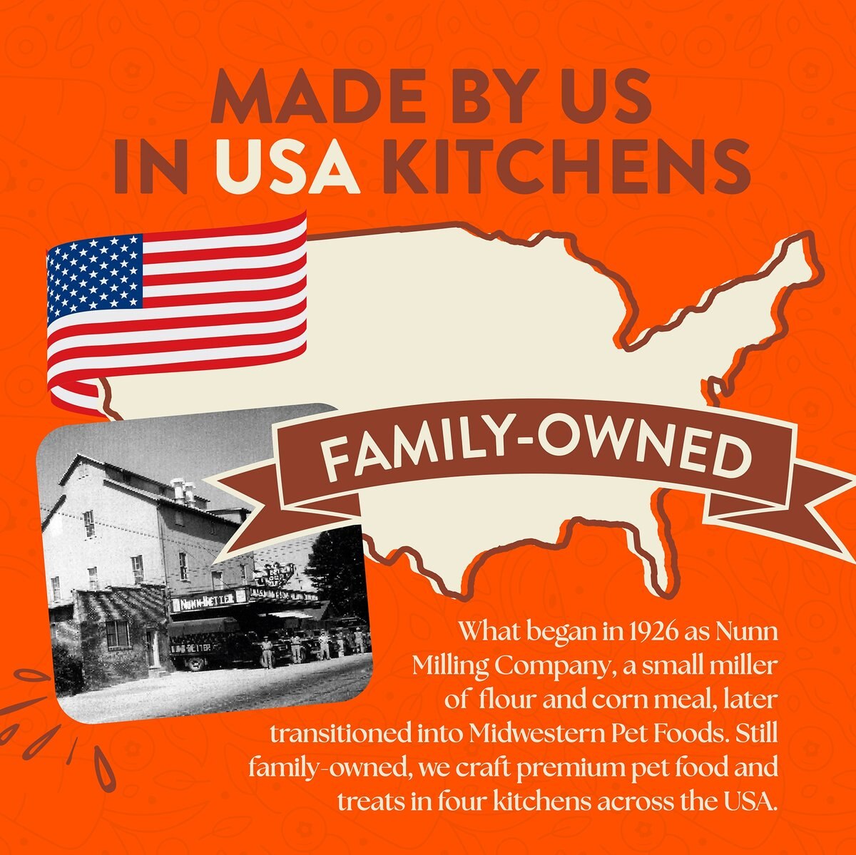 EARTHBORN HOLISTIC Primitive Feline Chicken & Vegetables Grain-Free Dry ...