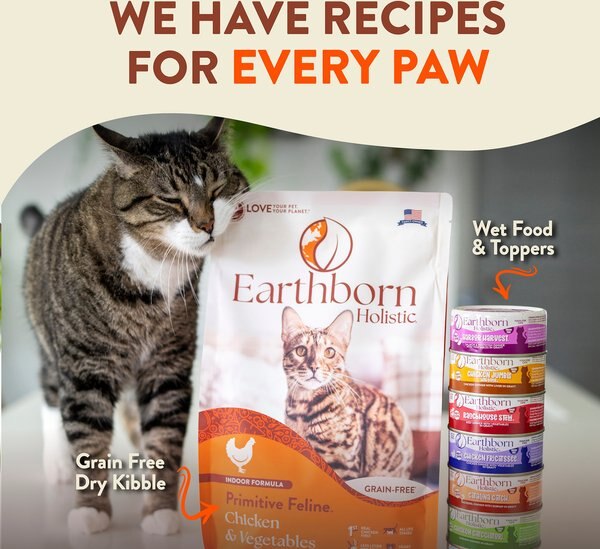 EARTHBORN HOLISTIC Primitive Feline Chicken & Vegetables Grain-Free Dry ...