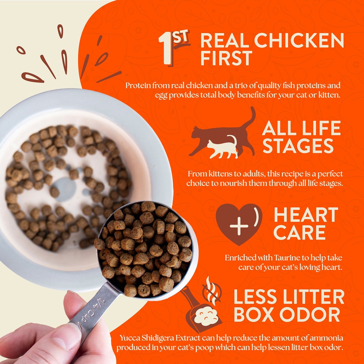 EARTHBORN HOLISTIC Primitive Feline Chicken & Vegetables Grain-Free Dry ...