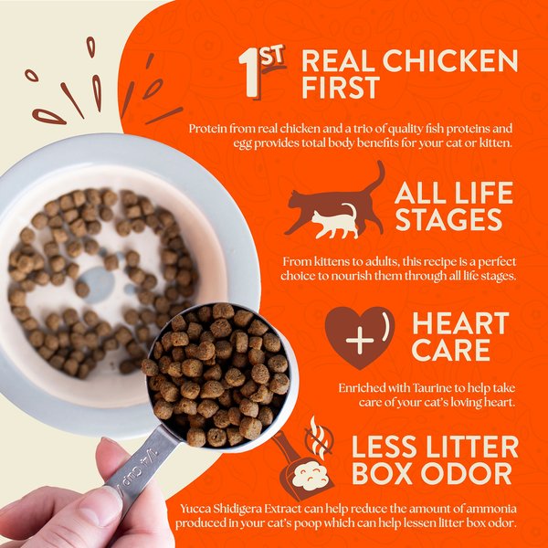 EARTHBORN HOLISTIC Primitive Feline Chicken & Vegetables Grain-Free Dry ...