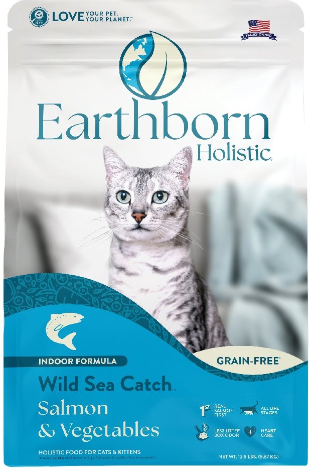 EARTHBORN HOLISTIC Wild Sea Catch Salmon & Vegetables Grain-Free Dry Cat Food, 12.5-lb - Chewy.com
