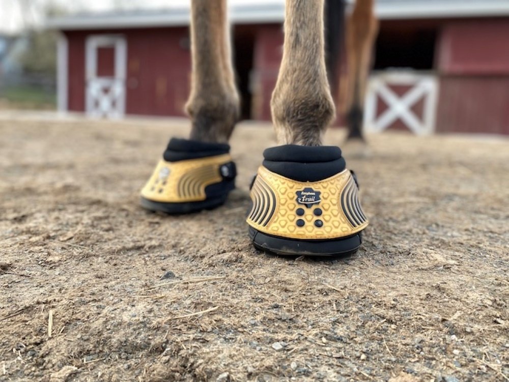 Out of Stock - EASYCARE 2016 Easyboot Trail Horse Hoof Boot, 1 - Chewy.com