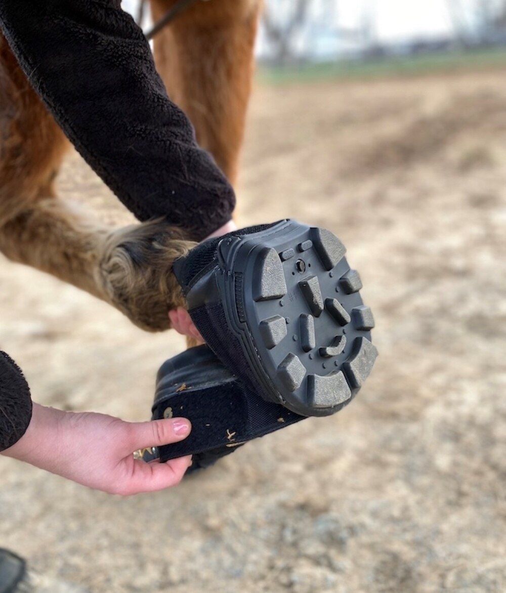 EASYCARE 2016 Easyboot Trail Horse Hoof Boot, 1 - Chewy.com