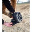 EASYCARE 2016 Easyboot Trail Horse Hoof Boot, 11 - Chewy.com
