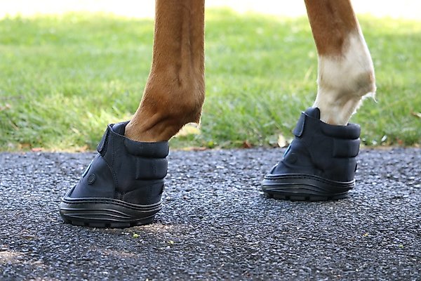 EASYCARE Easyboot Cloud Horse Hoof Boot, 2 - Chewy.com